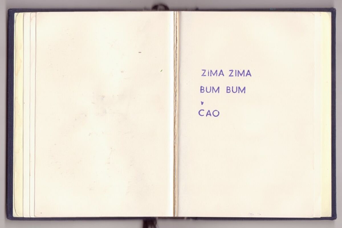 Izložba ZIMA ZIMA BUM BUM ČAO umetničke grupe Small But Dangers u ...