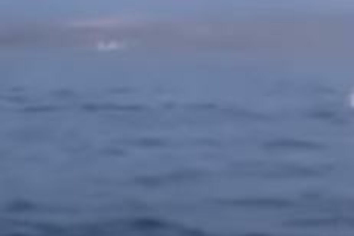 MORSKA NEMAN OD 70 TONA VIĐENA NA JADRANU! Kamera snimila GIGANTSKO STVORENJE, ljudi su u šoku ...