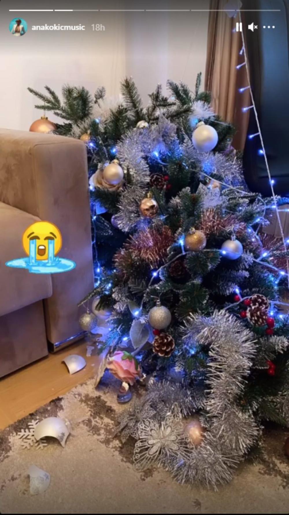 ANU KOKIĆ JE ZATEKAO PAKAO KOD KUĆE! Okrenuto sve naopačke, ubrzo su ...