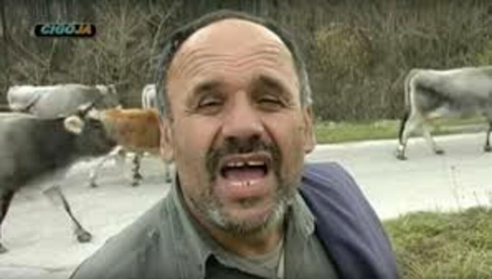 Biografija Zmaja od Šipova