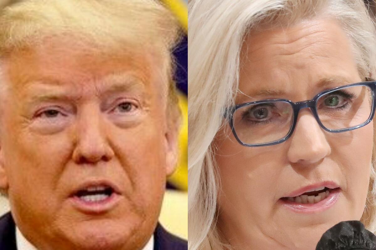 Liz Čejni protiv Donalda Trampa