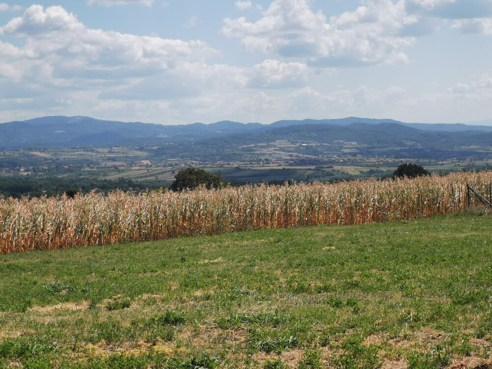 Drača, geografski centar Srbije | Media