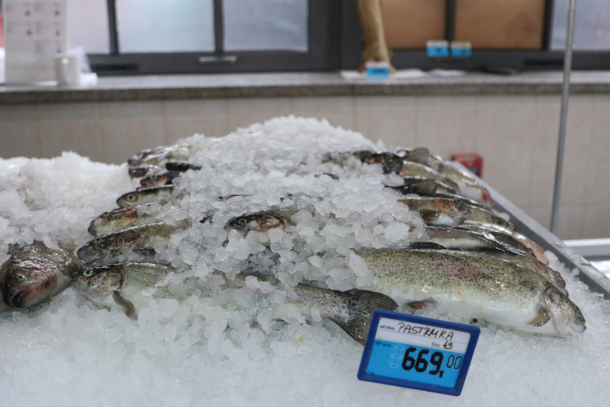 Kupovina sveže ribe
