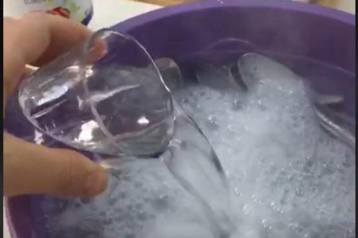 Limuntus za skidanje kamenca