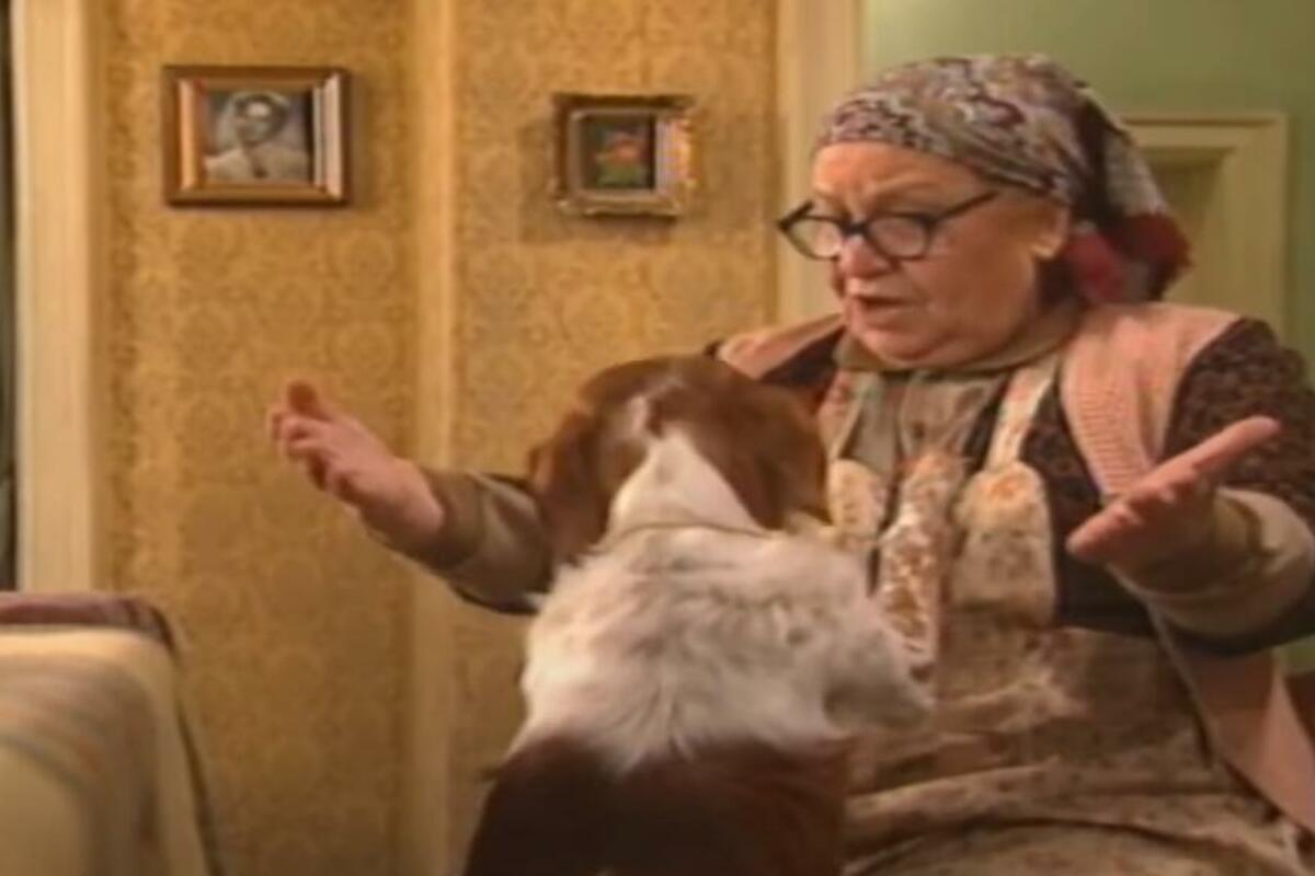 Pas Sima iz serije Srećni ljudi