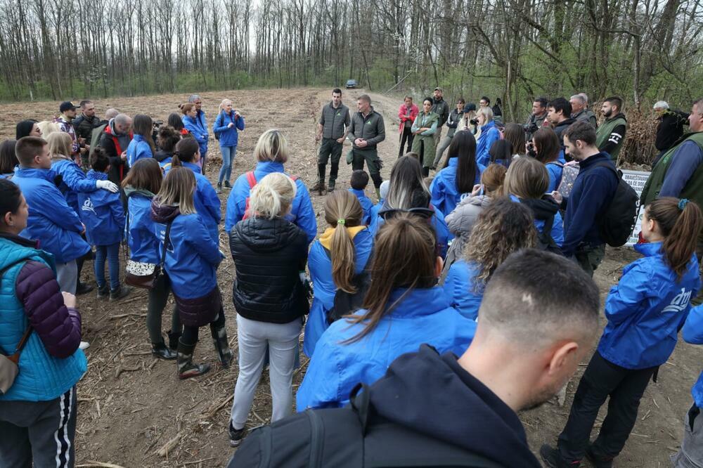 „ZASADI DRVO“ NASTAVLJA DA OBARA REKORDE: SRBIJA BOGATIJA ZA POLA ... „ZASADI DRVO“ NASTAVLJA DA OBARA REKORDE: SRBIJA BOGATIJA ZA POLA ...