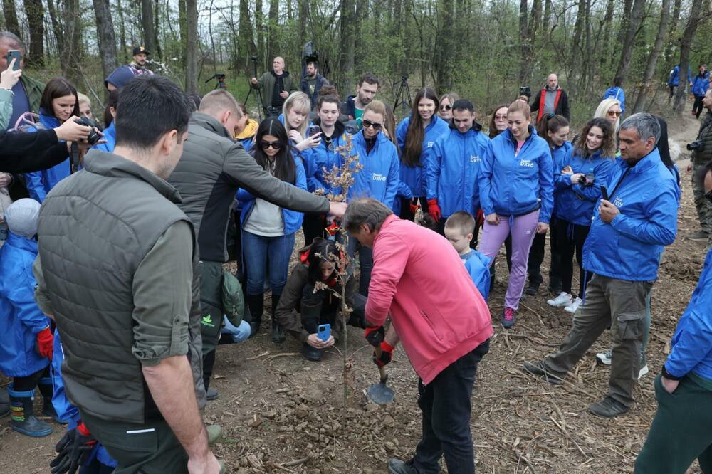 „ZASADI DRVO“ NASTAVLJA DA OBARA REKORDE: SRBIJA BOGATIJA ZA POLA ... „ZASADI DRVO“ NASTAVLJA DA OBARA REKORDE: SRBIJA BOGATIJA ZA POLA ...