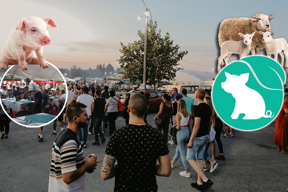 Stav Vege zajednice o festivalima mesa