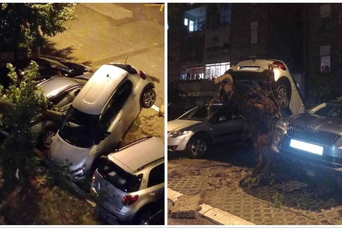 Oboreno drvo na Bežanijskoj kosi, podiglo dva automobila