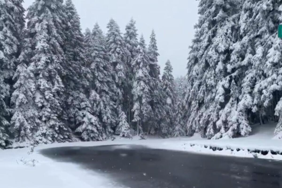 Izveštaj AMSS - 22. novembar 2024